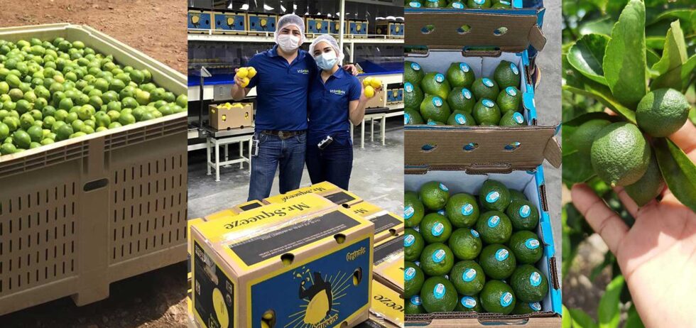 Story - Vision Global Group LLC