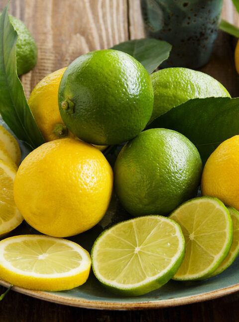 Home Page - Vision Global Group LLC