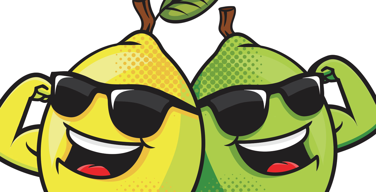 Mr. Squeeze Rebrand - Vision Global Group LLC